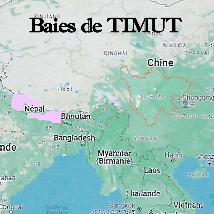 Baies de Timut (Népal)